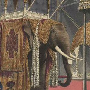 Pomp, circumstance and a crystal palace: The Great Exhibition of… | AM